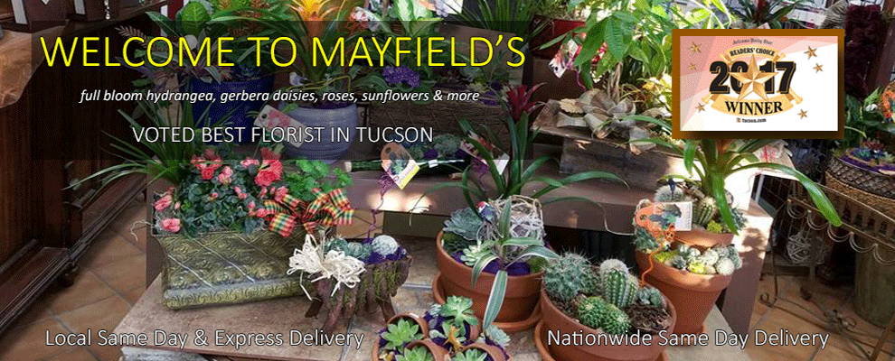 Florist Tucson, AZ | Flowers Tucson AZ - Mayfield Florist